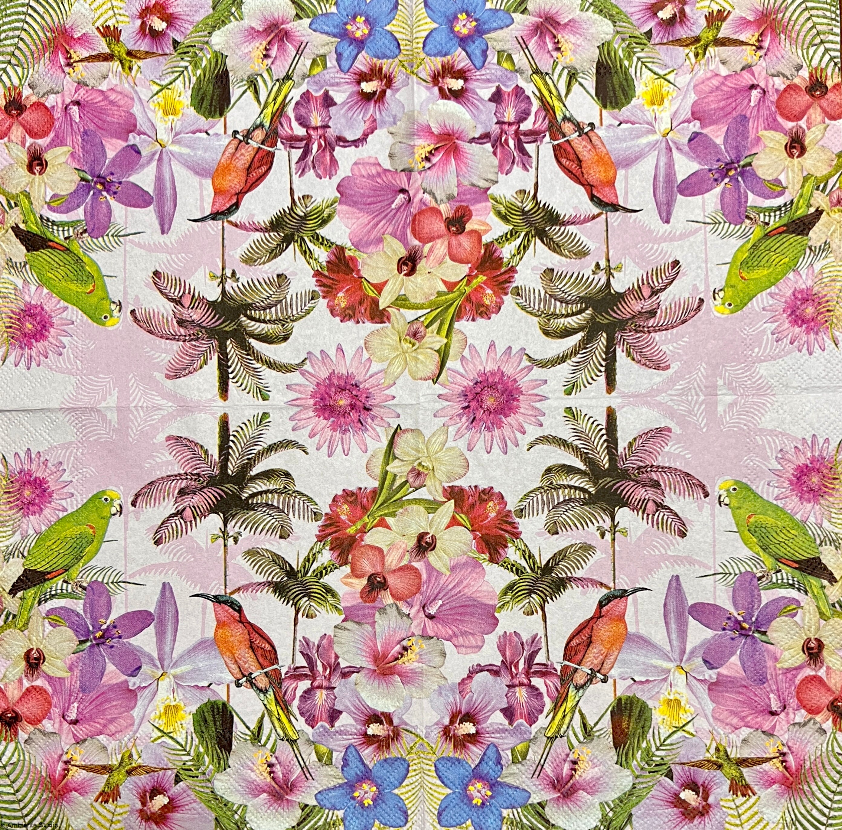 Napkins of Hummingbirds, Finches, Owl and Tropical Birds for Decoupage ...