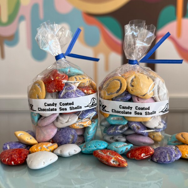 Chocolate Seashells - Etsy