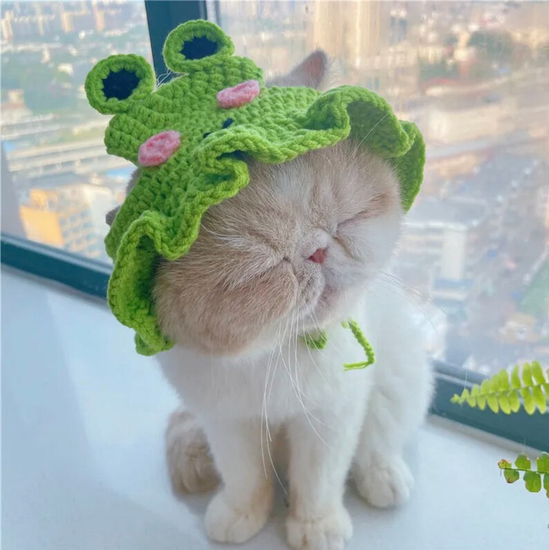 Crochet Cat Hat Frog Pink Daisy Blue Daisy Cat Costume Kawaii Cute ...