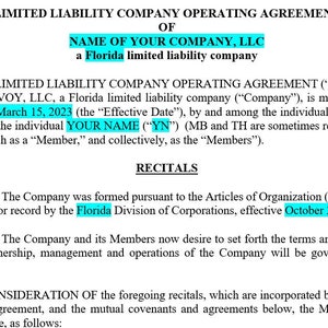 Multi-member LLC Operating Agreement, Attorney-drafted (digital ...