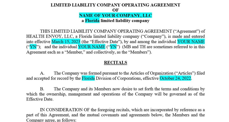 Multi-member LLC Operating Agreement, Attorney-drafted (digital ...