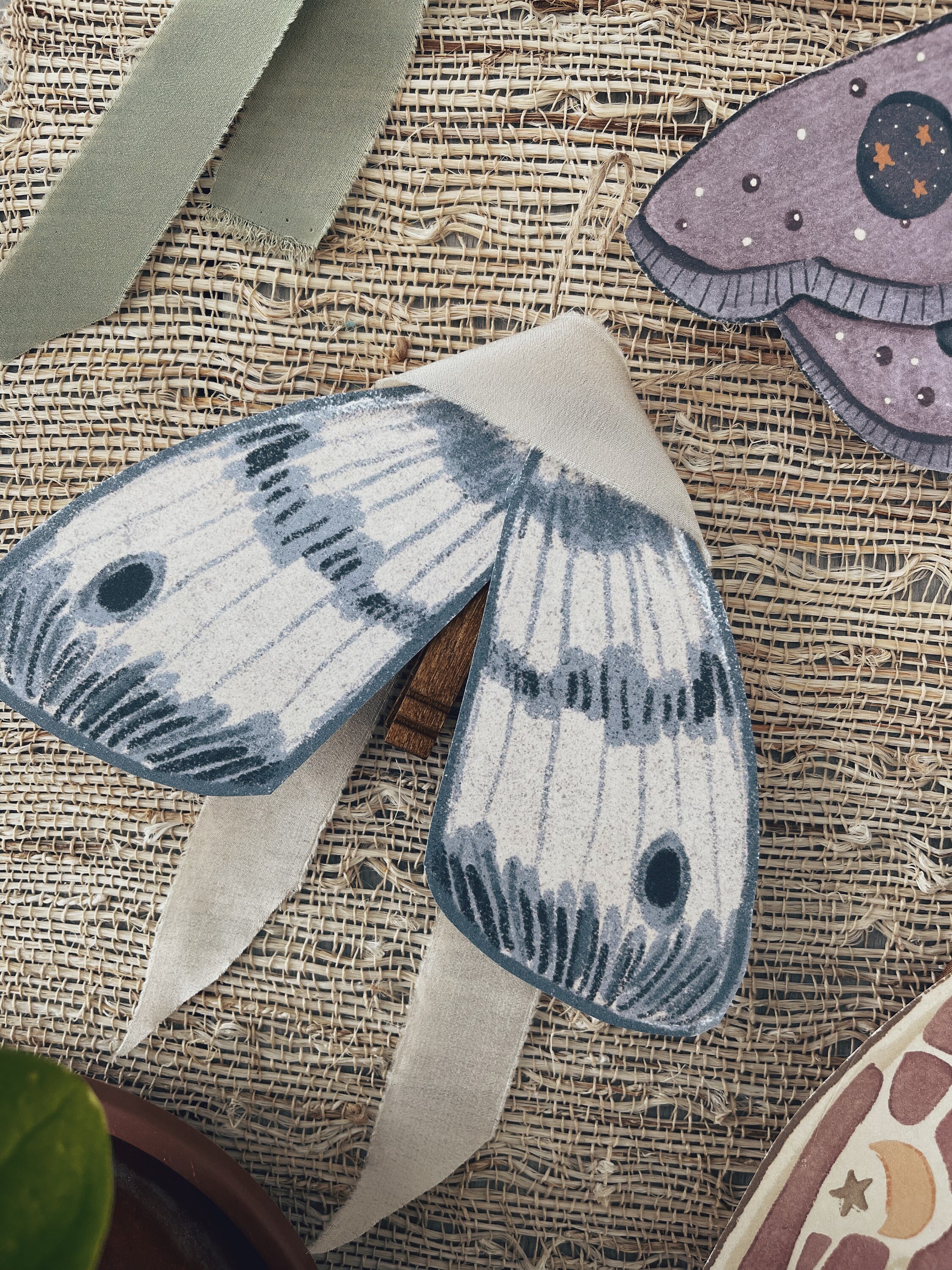 Stardust Moths Paper Craft: Nature Study Art Prints (digital Download ...