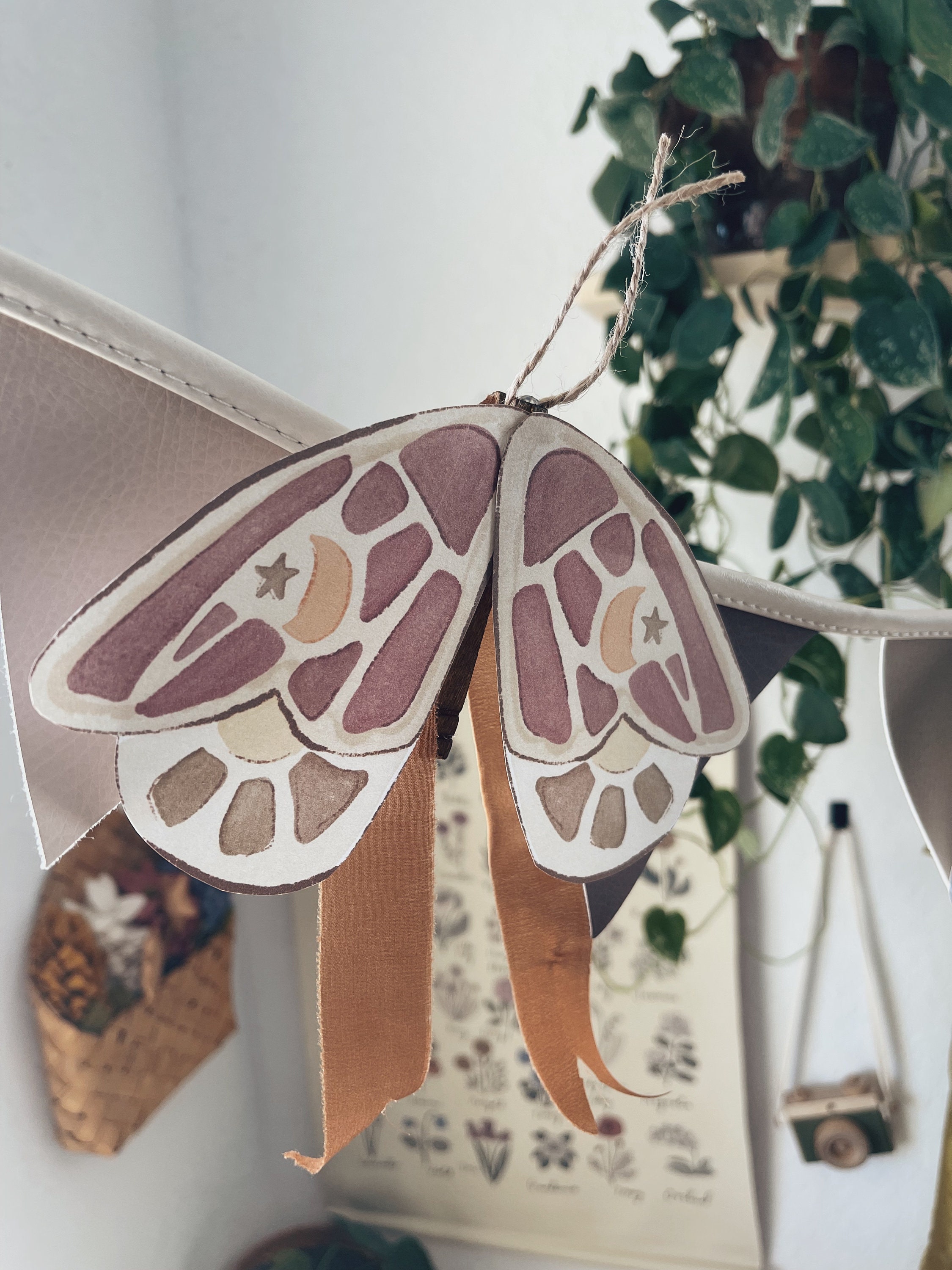 Stardust Moths Paper Craft Moth Nature Study Printable - Etsy Australia