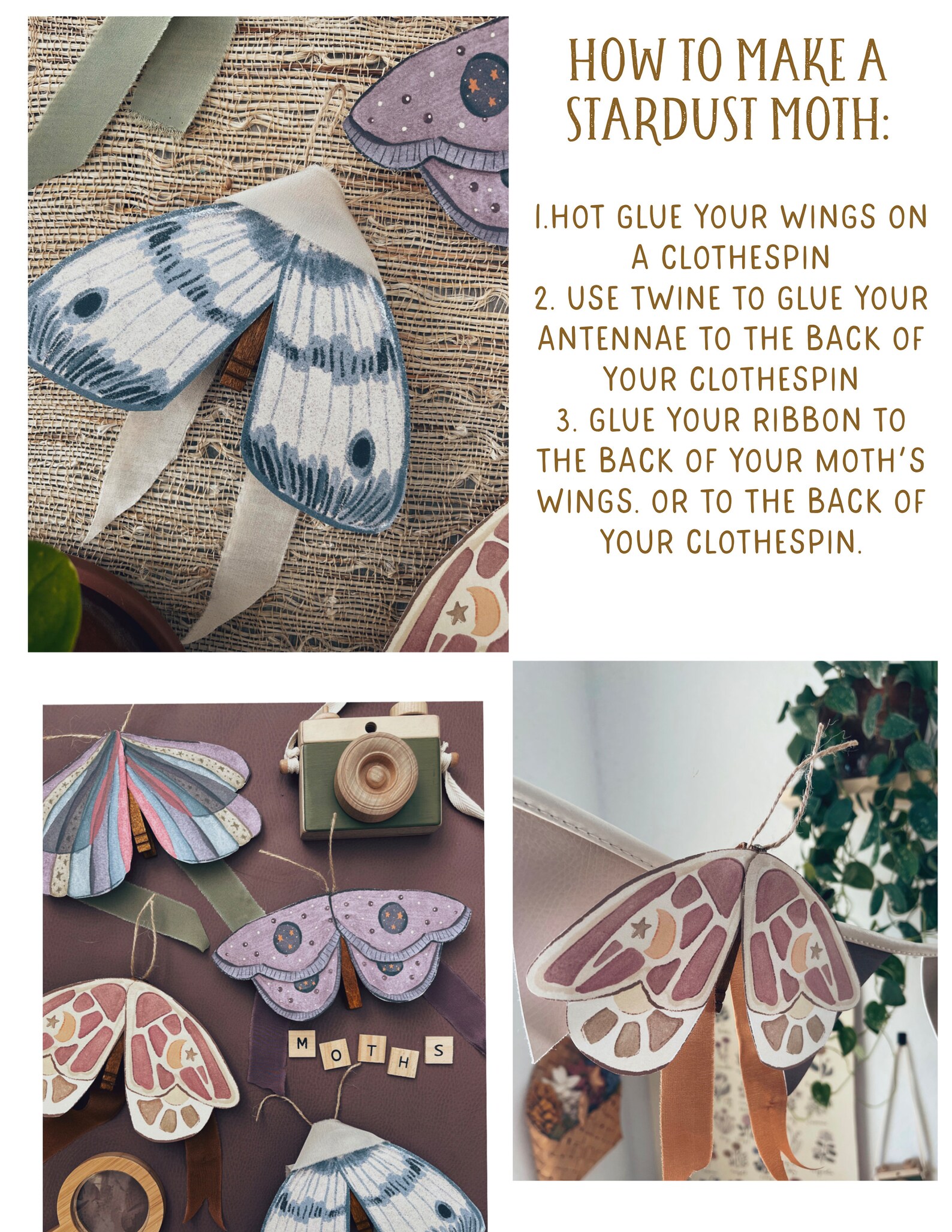 Stardust Moths Paper Craft: Nature Study Art Prints (digital Download ...