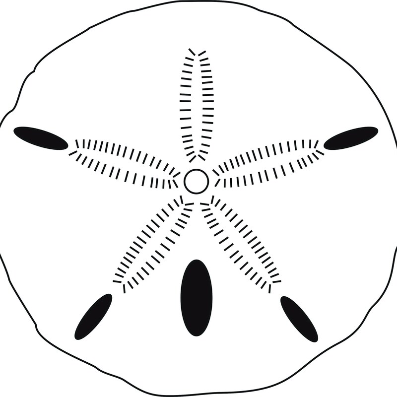 Sand Dollar Clip Art - Etsy