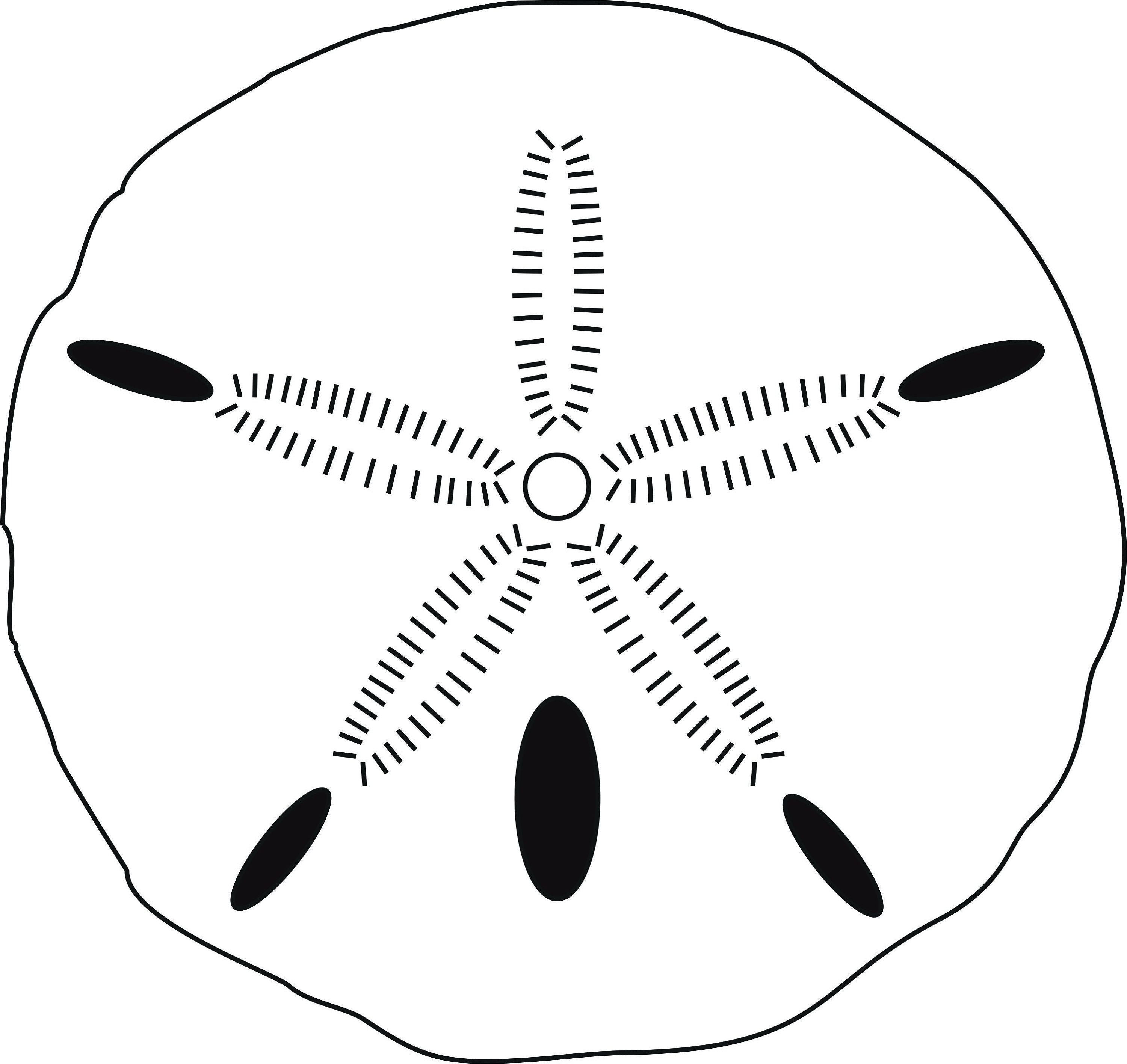 Sand Dollar .dxf/.svg File - Etsy