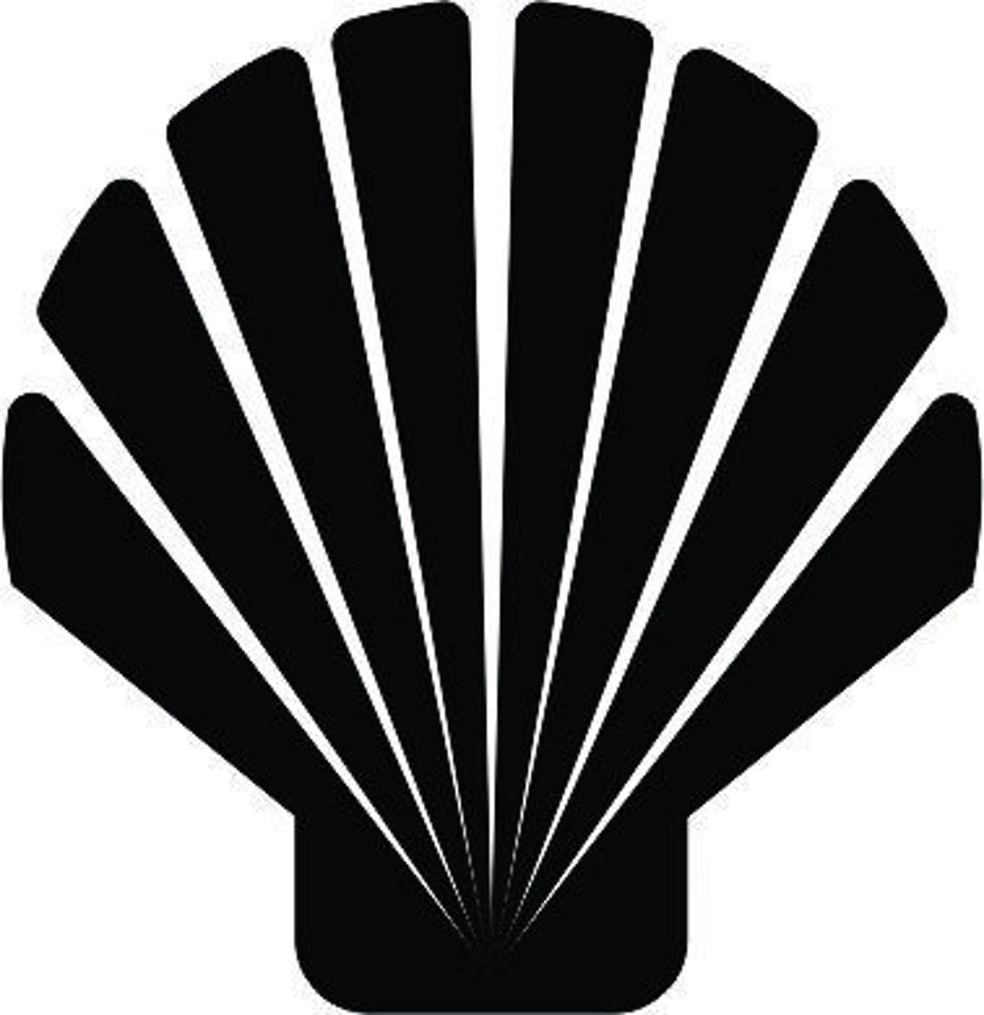 Sea Shell .dxf/.svg File - Etsy