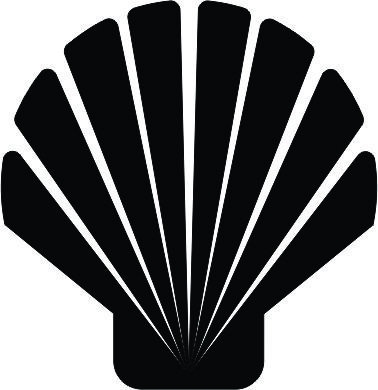 Sea Shell .dxf/.svg File - Etsy