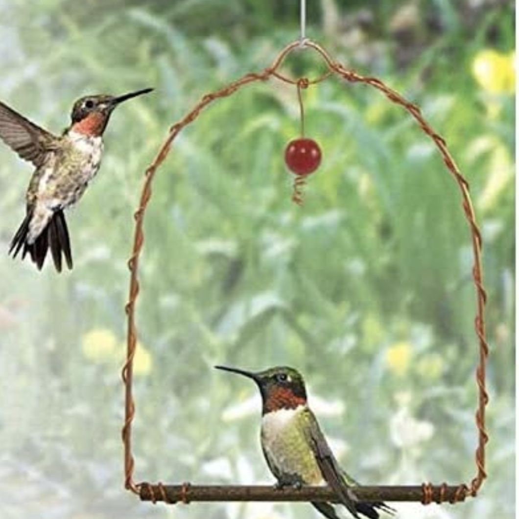 Hummingbird Swing/perch Handmade - Etsy