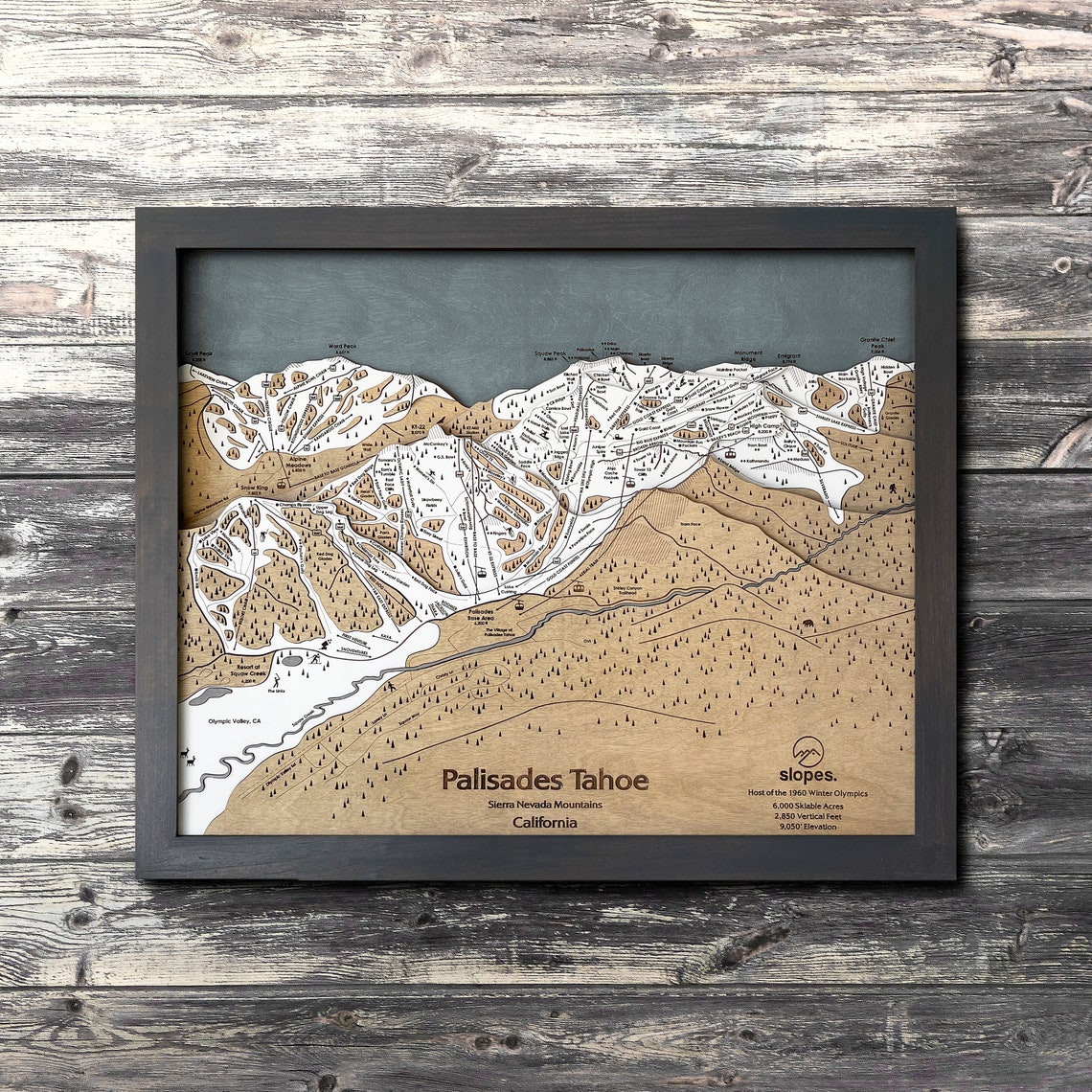 3D Palisades Tahoe Ski Trail Map Squaw Valley Wood Ski Map Art, FIS ...