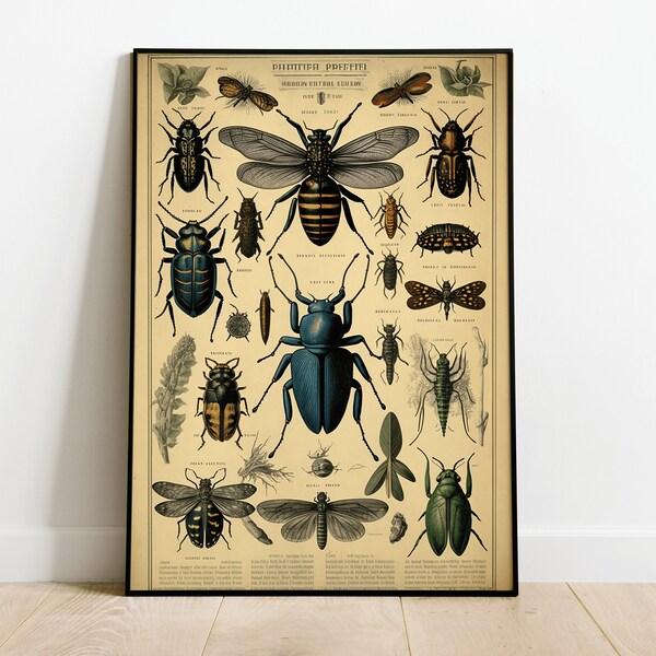 Insect Poster - Etsy