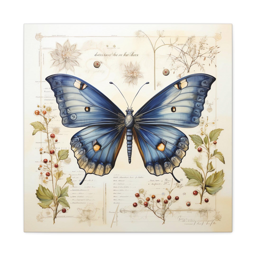Blue-winged Butterfly Matte Canvas Print: Medieval Natural History Art ...