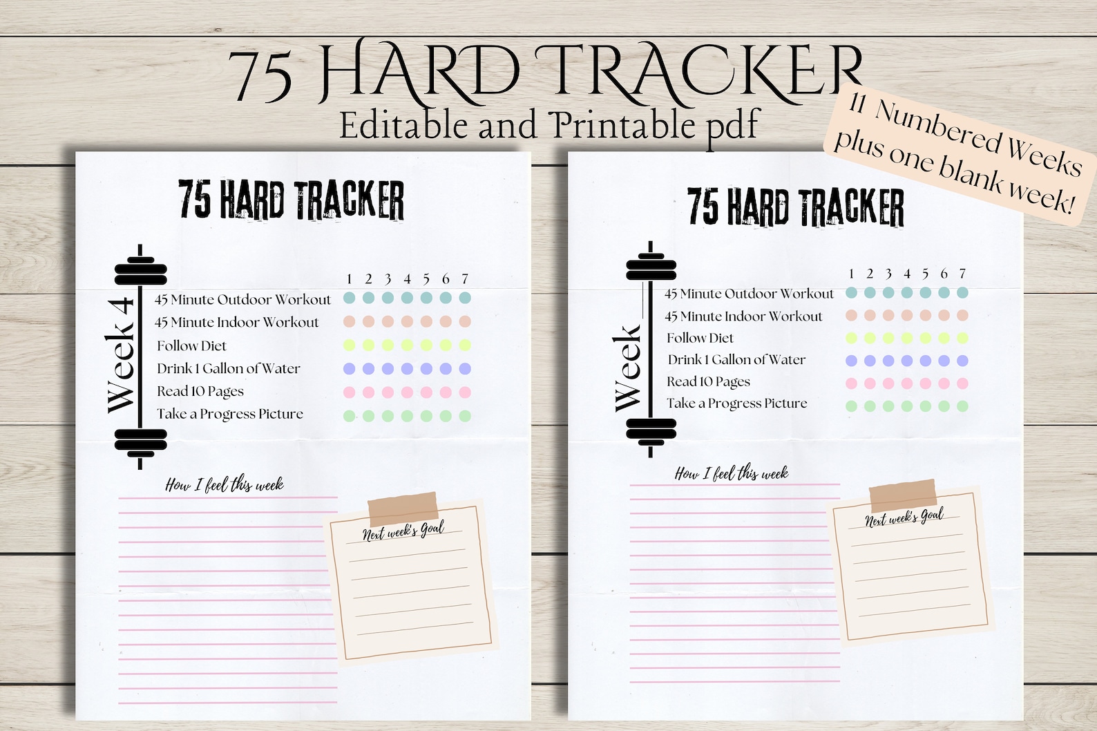 75 Hard Tracker Editable Digital PDF Download, Goodnotes, Notability ...