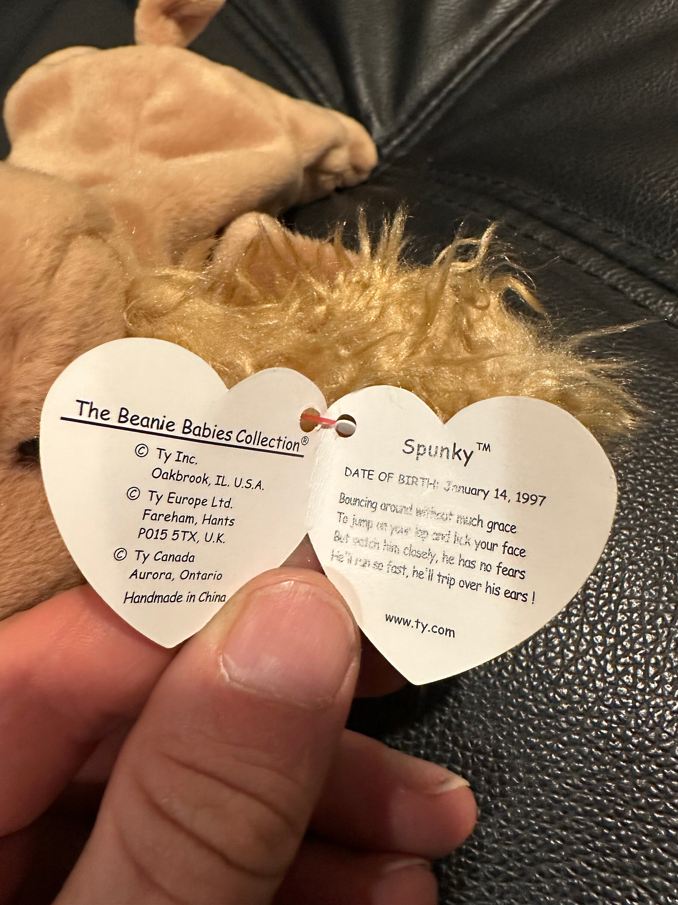 Spunky Beanie Baby retired/rare - Etsy