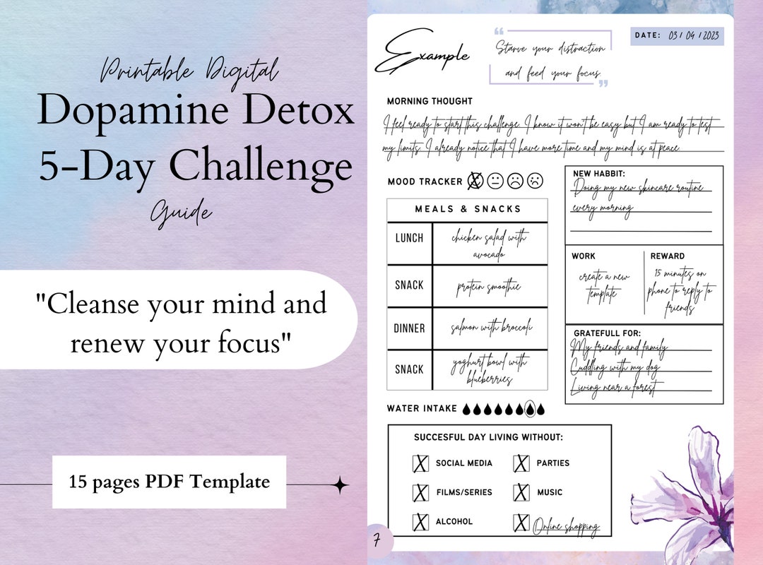 Digital Dopamine Detox Plan, Interactive Mental Detox Challenge ...