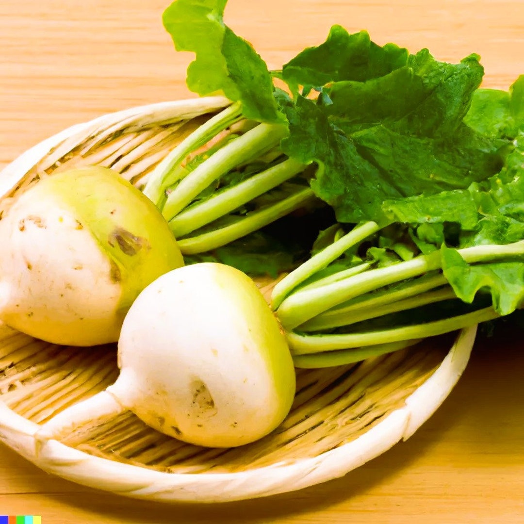 3000 Seeds of Shogoin Turnip, Sprouting, Garden, Fresh Vegetable - Etsy