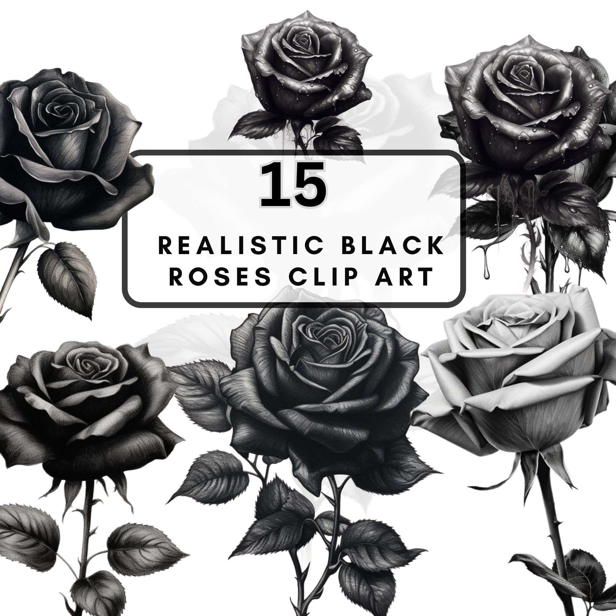 15 Black Roses Clipart, Watercolor Wedding Clipart, Provence Floral Art ...