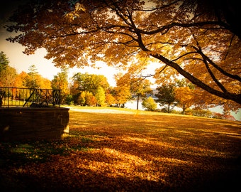 Fall Foliage - Autumn in Cooperstown New York in High Definition - Etsy