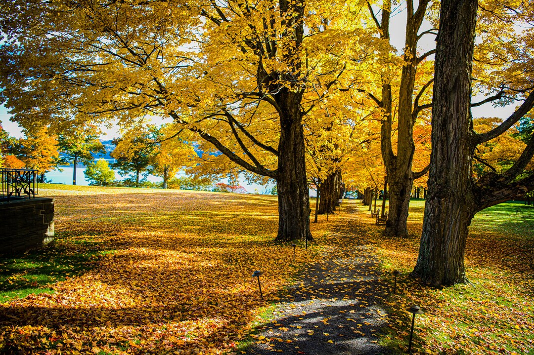 Fall Foliage - Autumn in Cooperstown New York in High Definition - Etsy