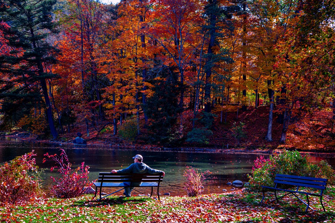 Fall Foliage - Autumn in Cooperstown New York in High Definition - Etsy
