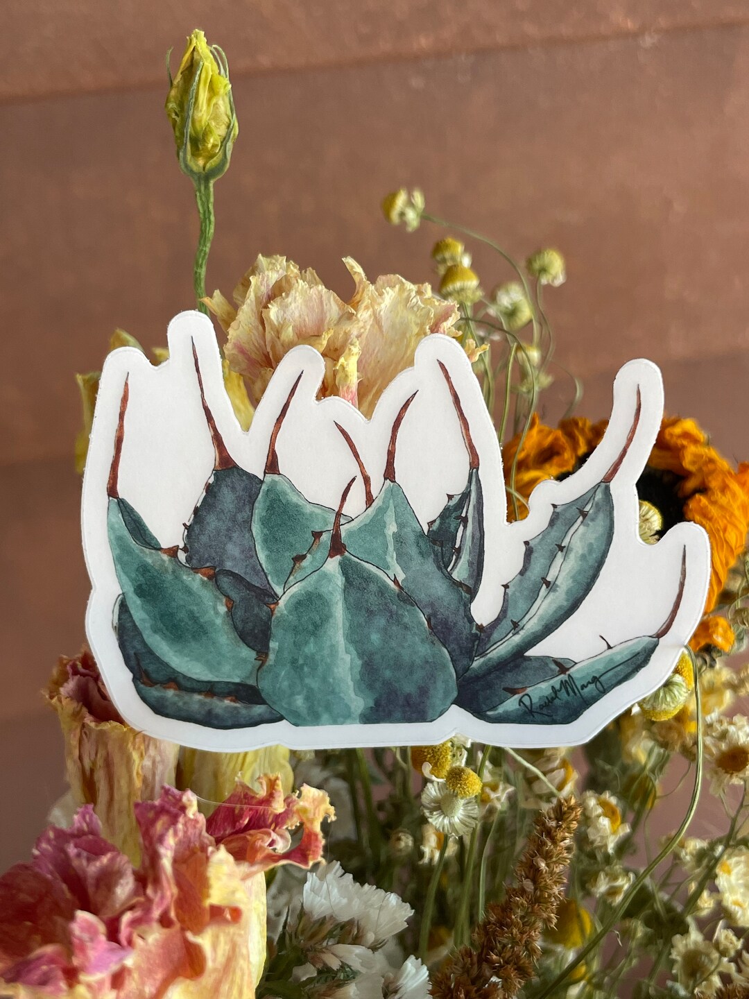 Artichoke Agave Sticker, Clear Background, UV Resistant and Waterproof ...