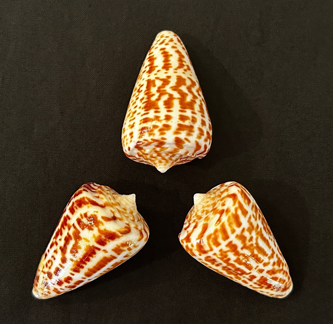 3 LIGHT ALPHABET CONES Lot2 - Etsy