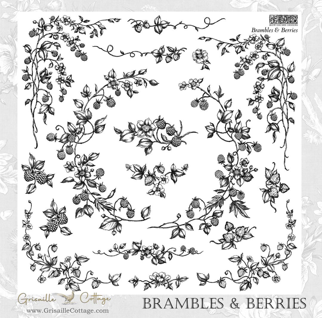 Brambles & Berries - IOD Decor Stamp - Etsy