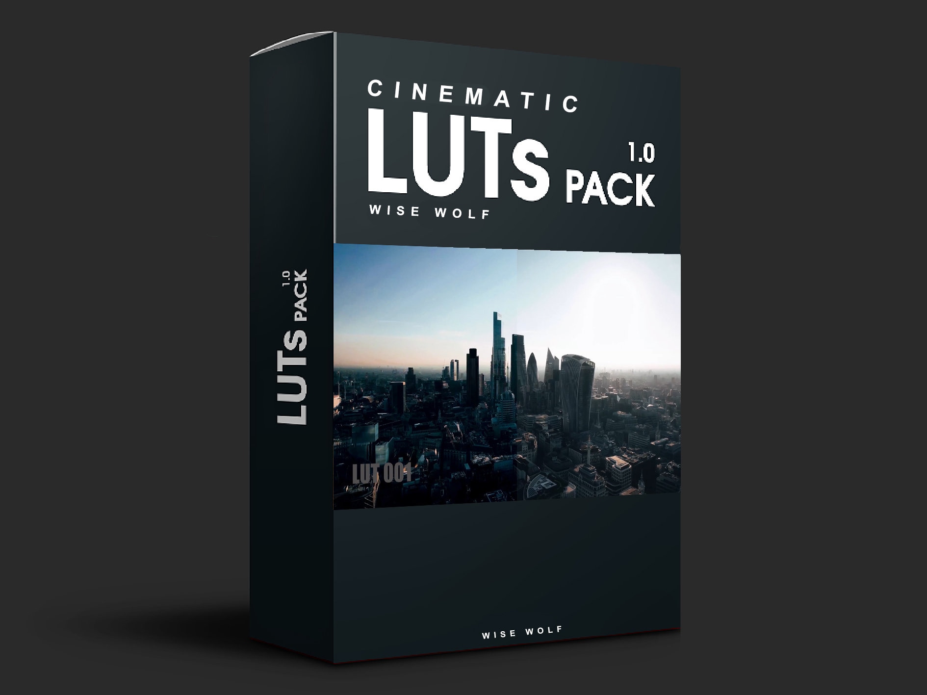 10 Cinematic Luts for Adobe Premiere Pro - Etsy