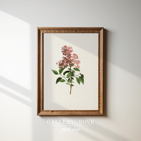 Shipped Print Antique Botanical Print Old Artwork Vintage Wall Art ...