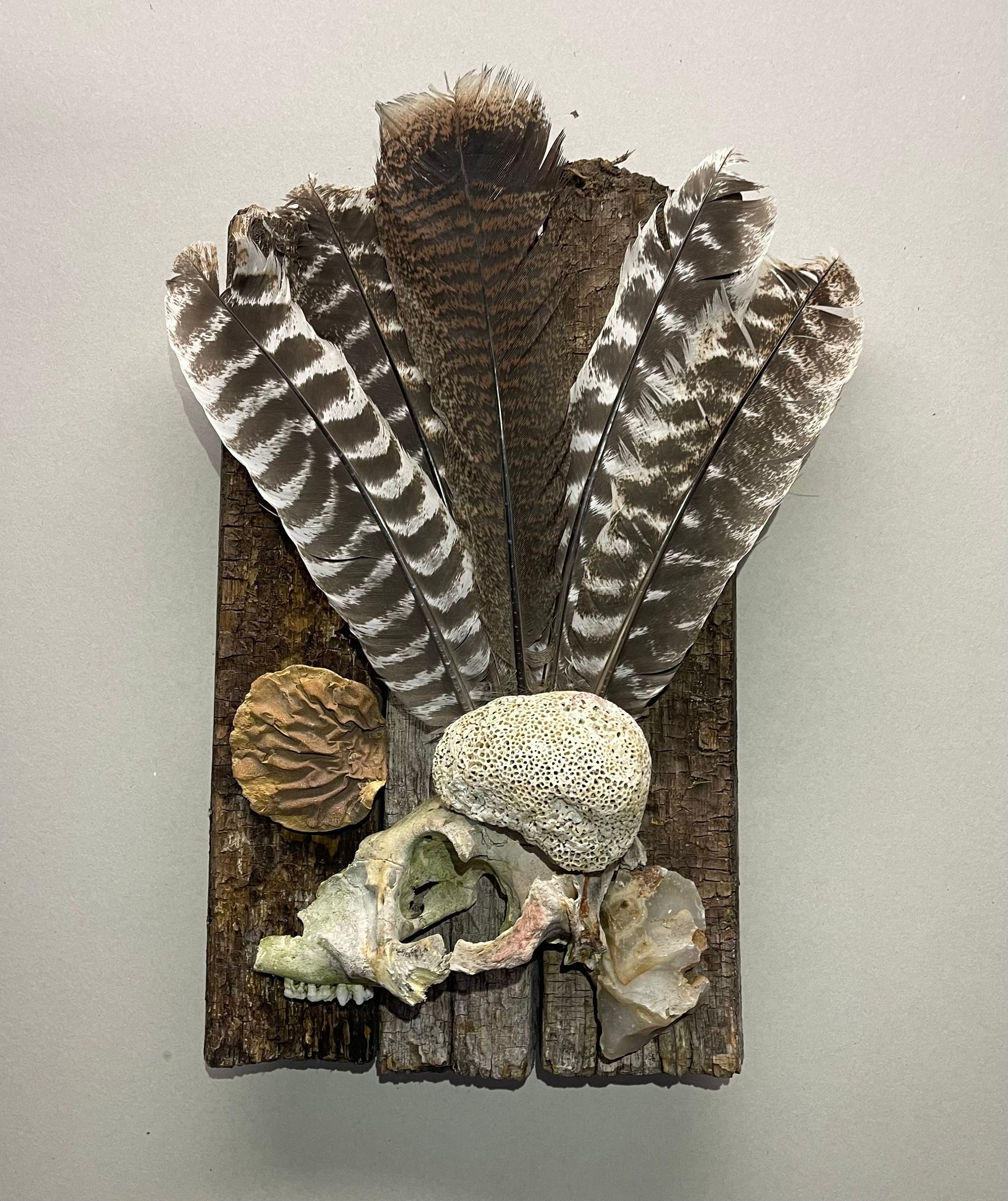 All Things Wild - Etsy