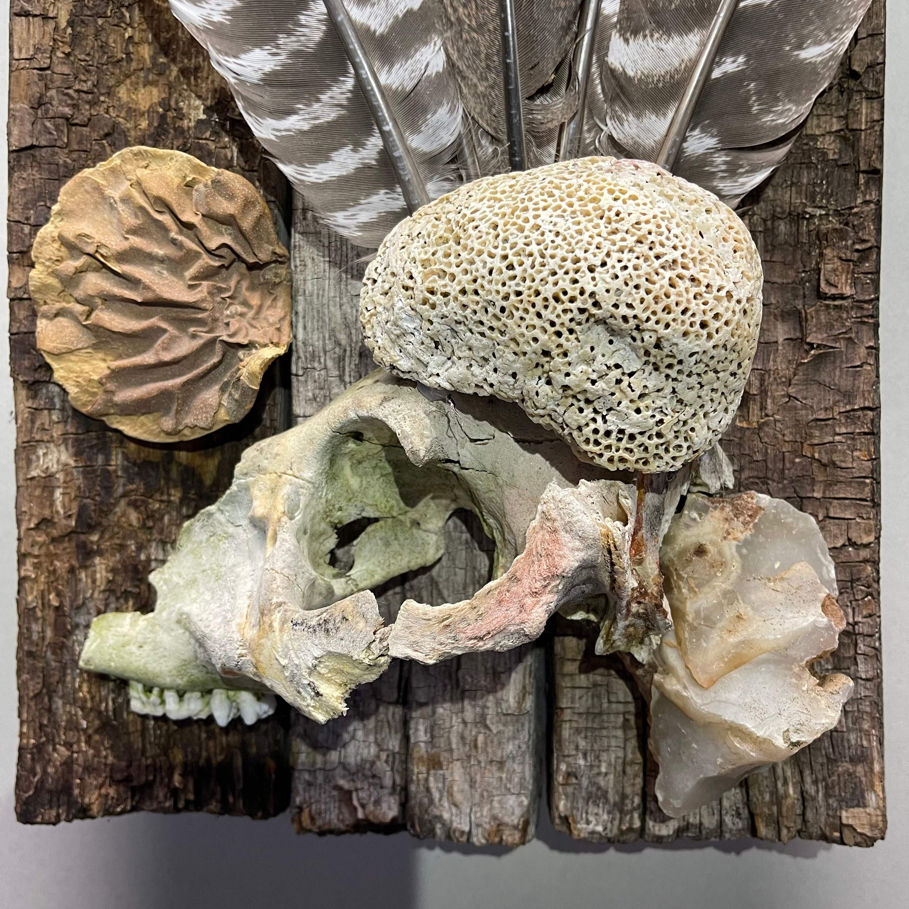 All Things Wild - Etsy