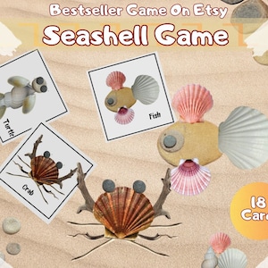 Seashell Game, Stone Game, Busy Beach Games, Busy Summer Games for Kids ...