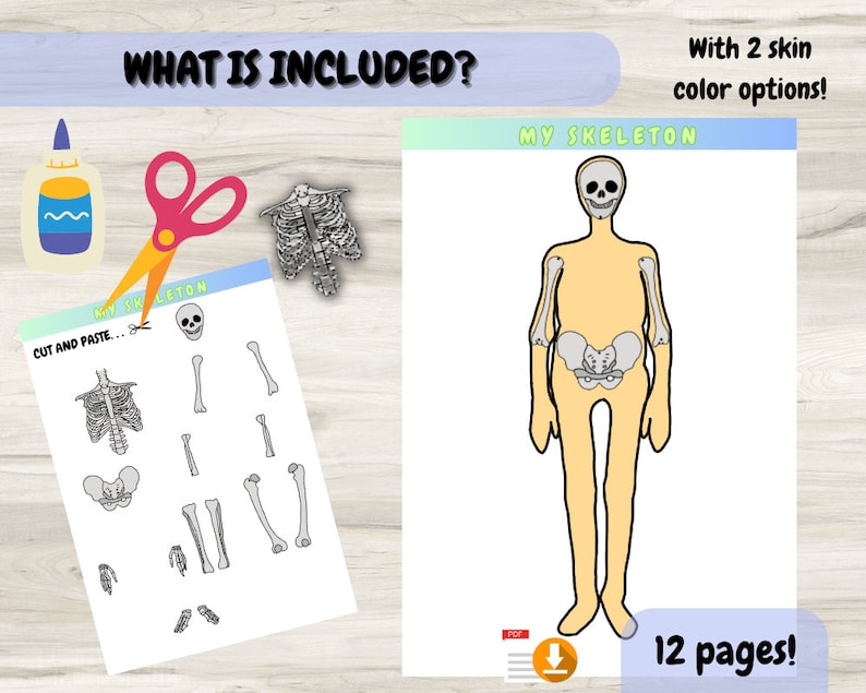 Realistic Human Skeleton Busy Book Page, Printable Montessori Materials ...