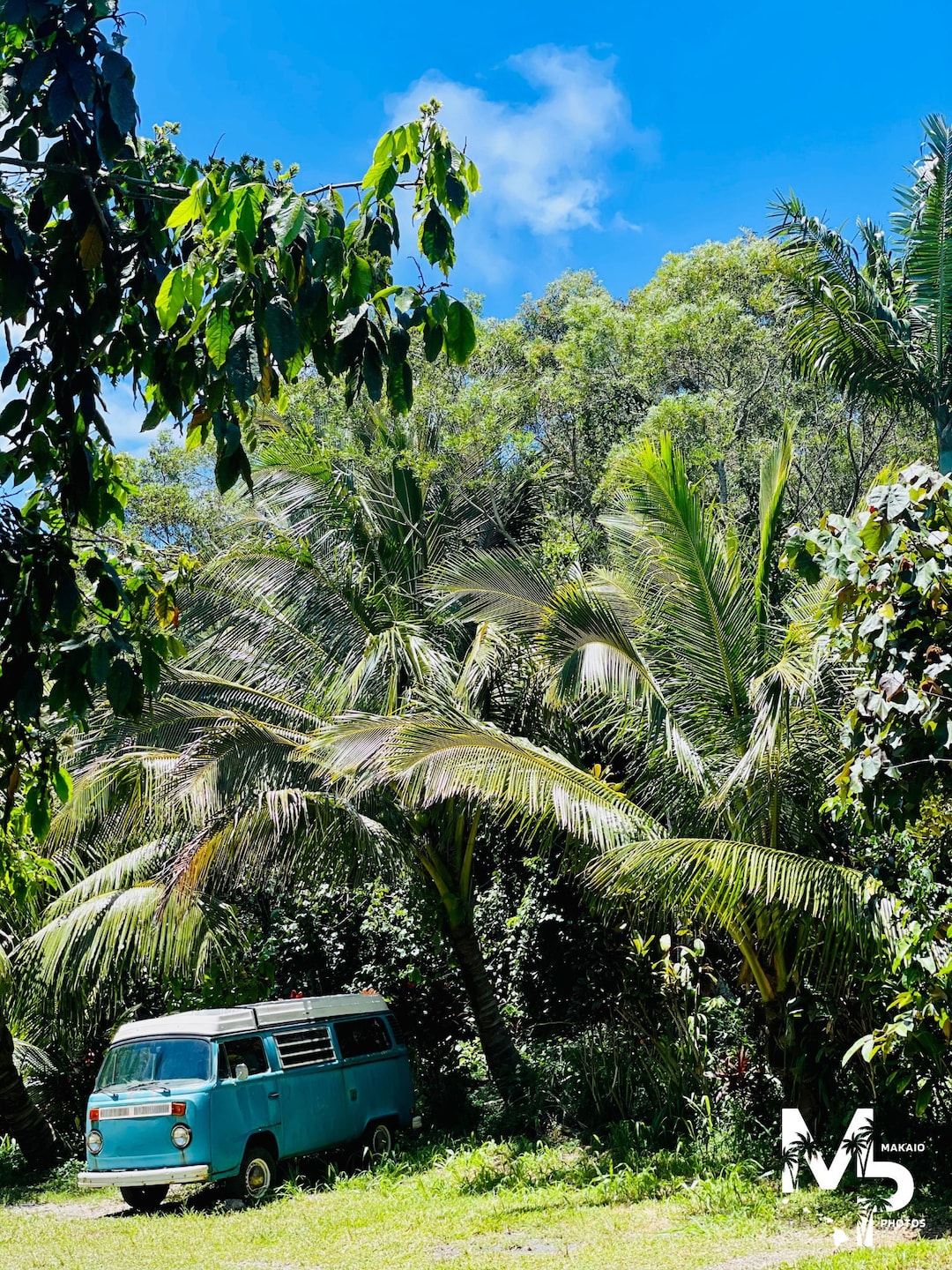Hawaiian Volkswagen Bus - Etsy