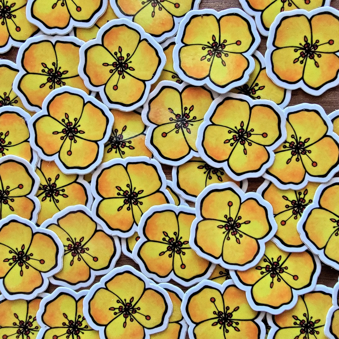 The Mojave Sun Cup Sticker - Etsy