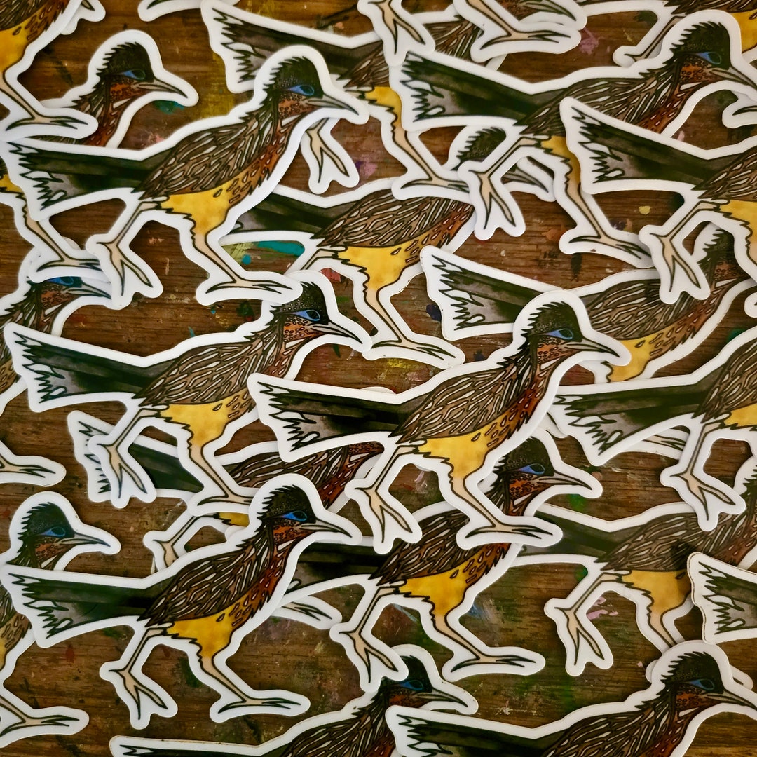 The Road Runner Sticker - Etsy