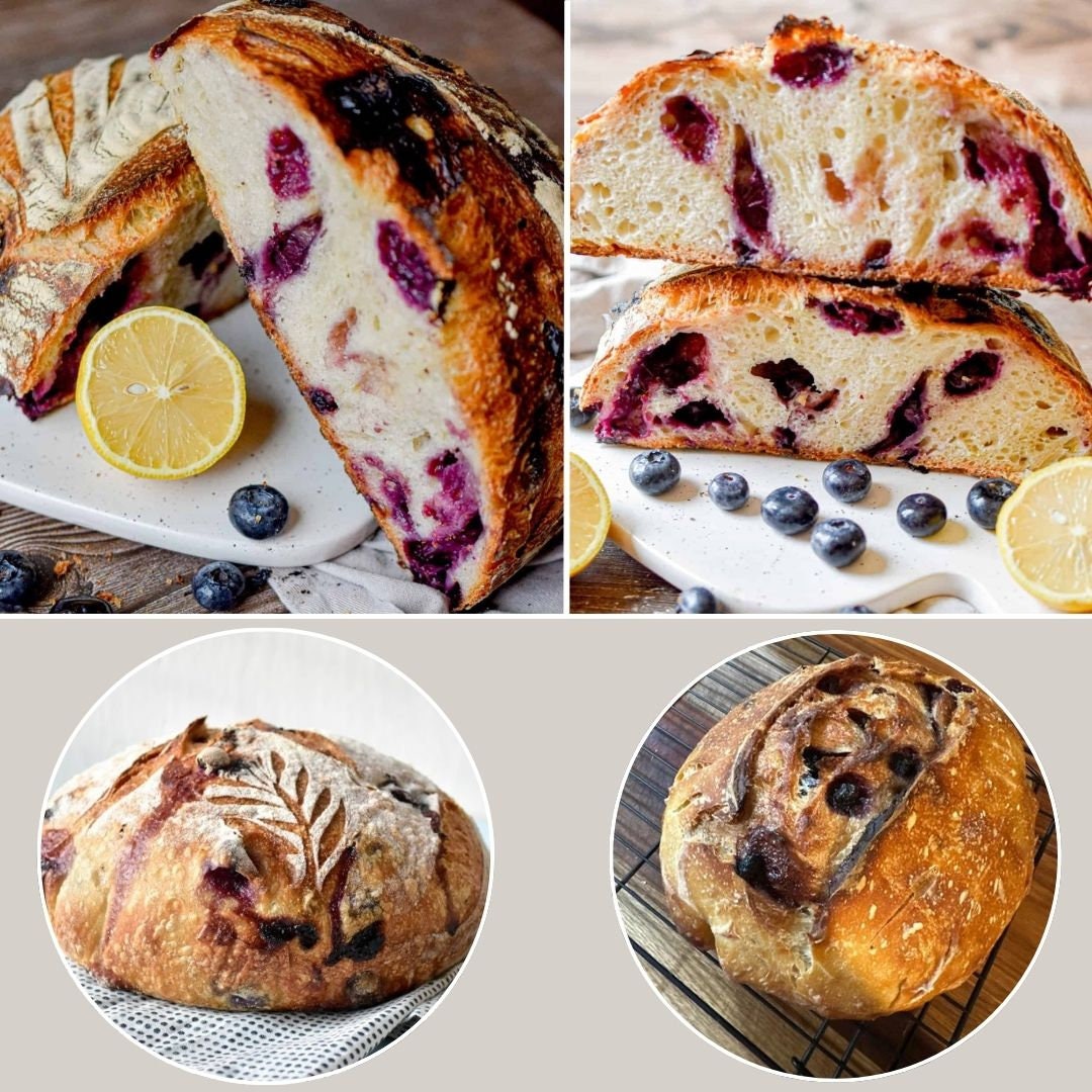 Blueberry Lemon Sourdough Bread the Most Amazing Recipe - Etsy