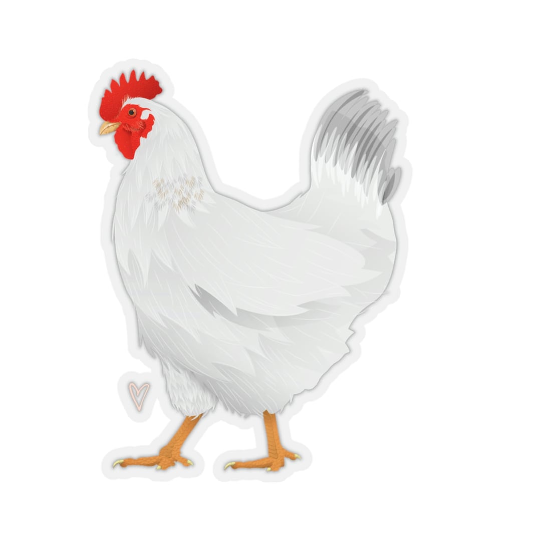 White Hen Chicken Sticker for Notebooks, Scrapbooking, Computers, Water ...