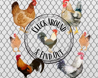 Cluck Around & Find Out SVG/PNG - Etsy