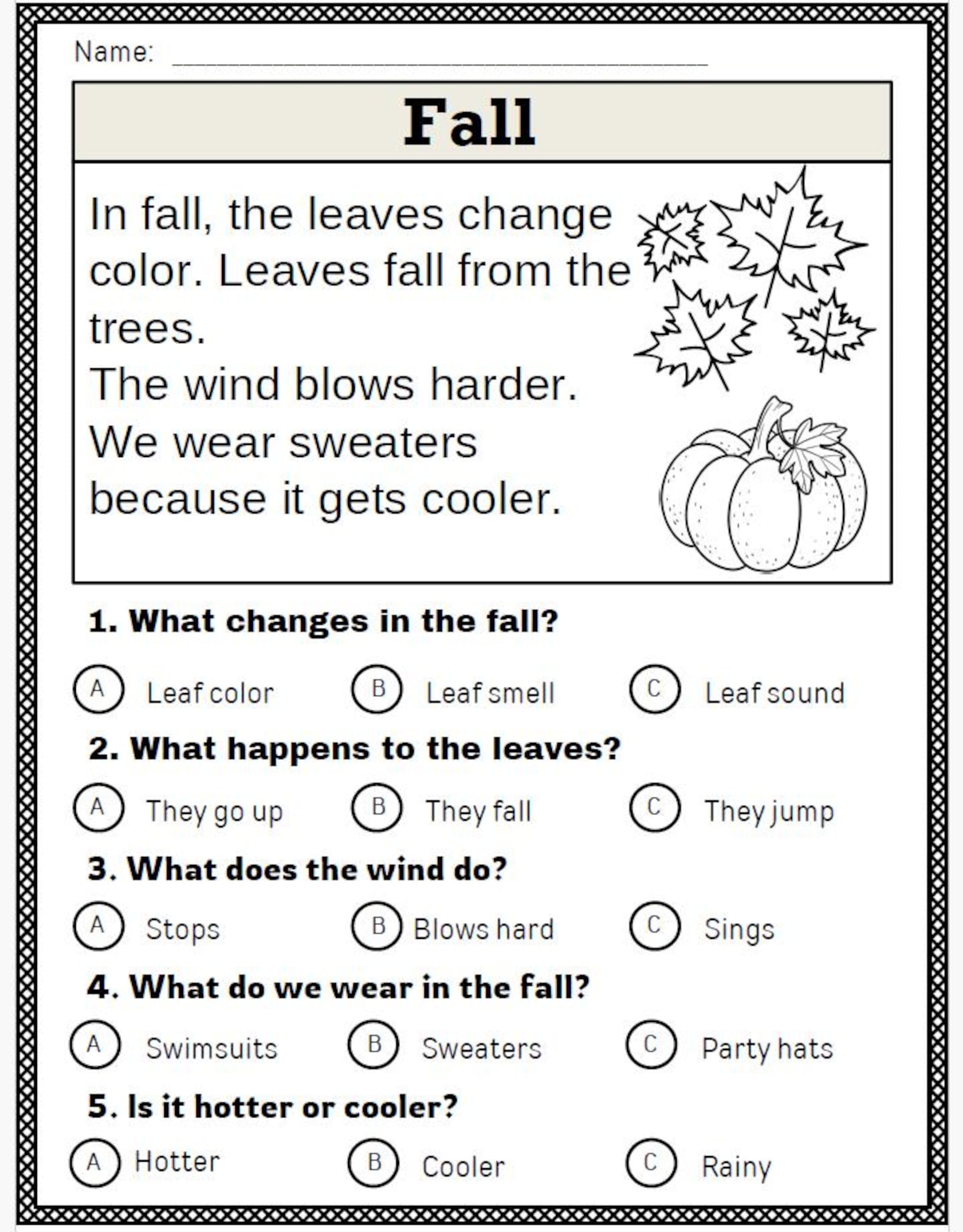 5 Comprehension Stories About the 4 Seasons (non-fiction) - Etsy