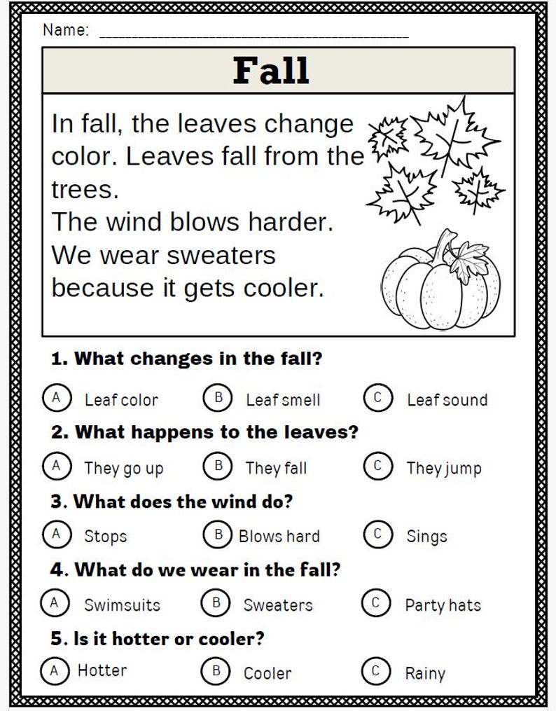 5 Comprehension Stories About the 4 Seasons (non-fiction) - Etsy