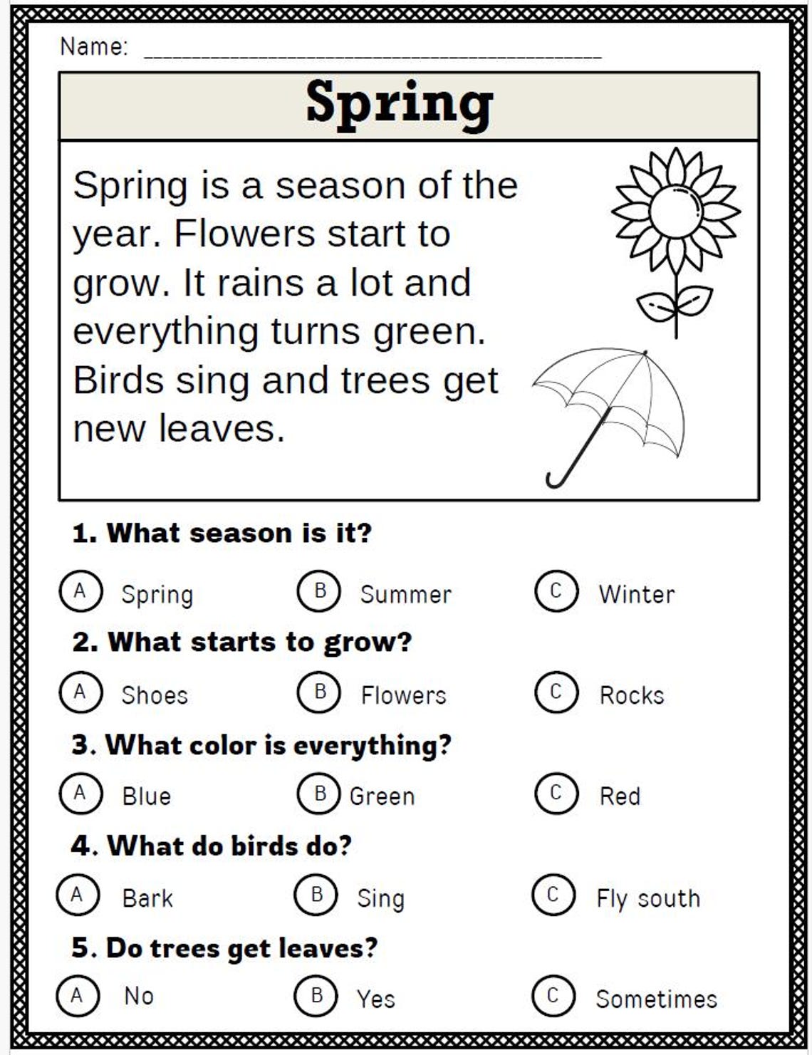 5 Comprehension Stories About the 4 Seasons (non-fiction) - Etsy