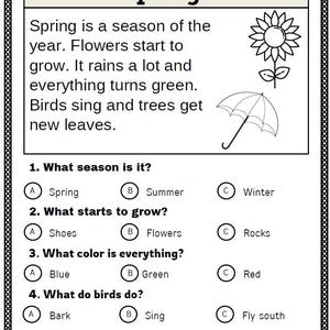 5 Comprehension Stories About the 4 Seasons (non-fiction) - Etsy