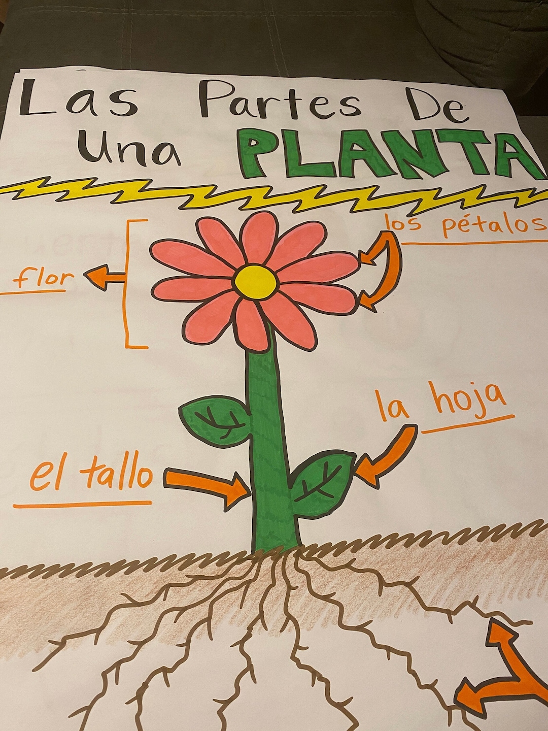 Las Partes De Una Planta Anchor Chart parts of a Plant Anchor Chart - Etsy