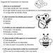 Que Son Los Ecosistemas? - What Are Ecosystems? in Spanish - Etsy