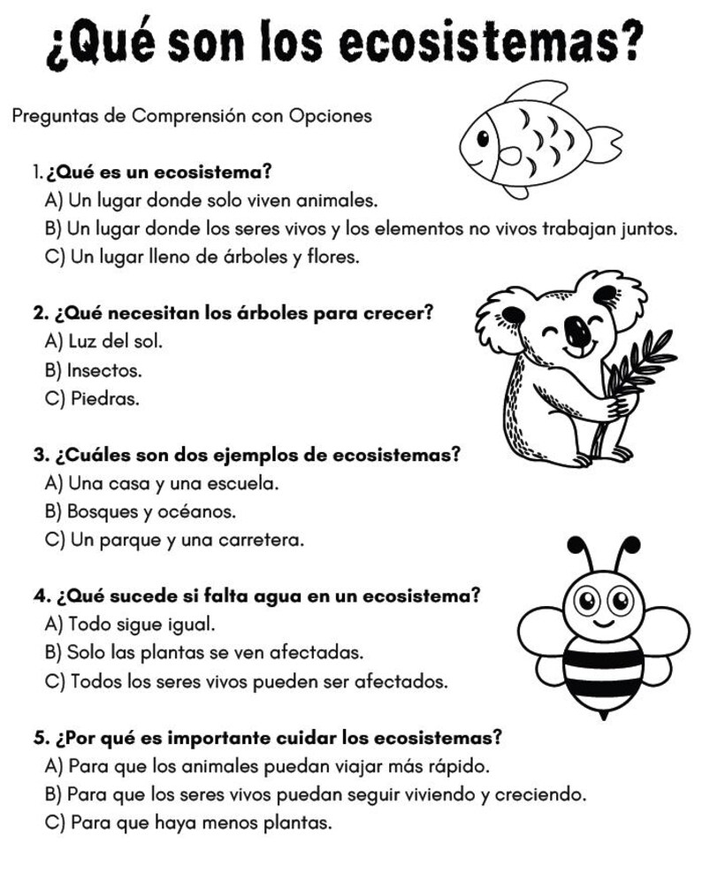 Que Son Los Ecosistemas? - What Are Ecosystems? in Spanish - Etsy