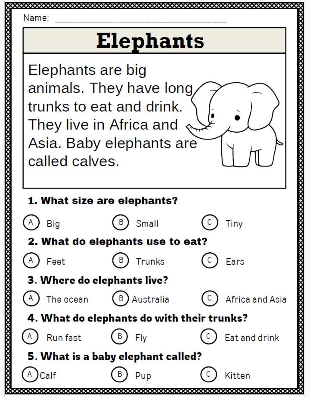 10 Comprehension Stories About Animals (non-fiction) - Etsy