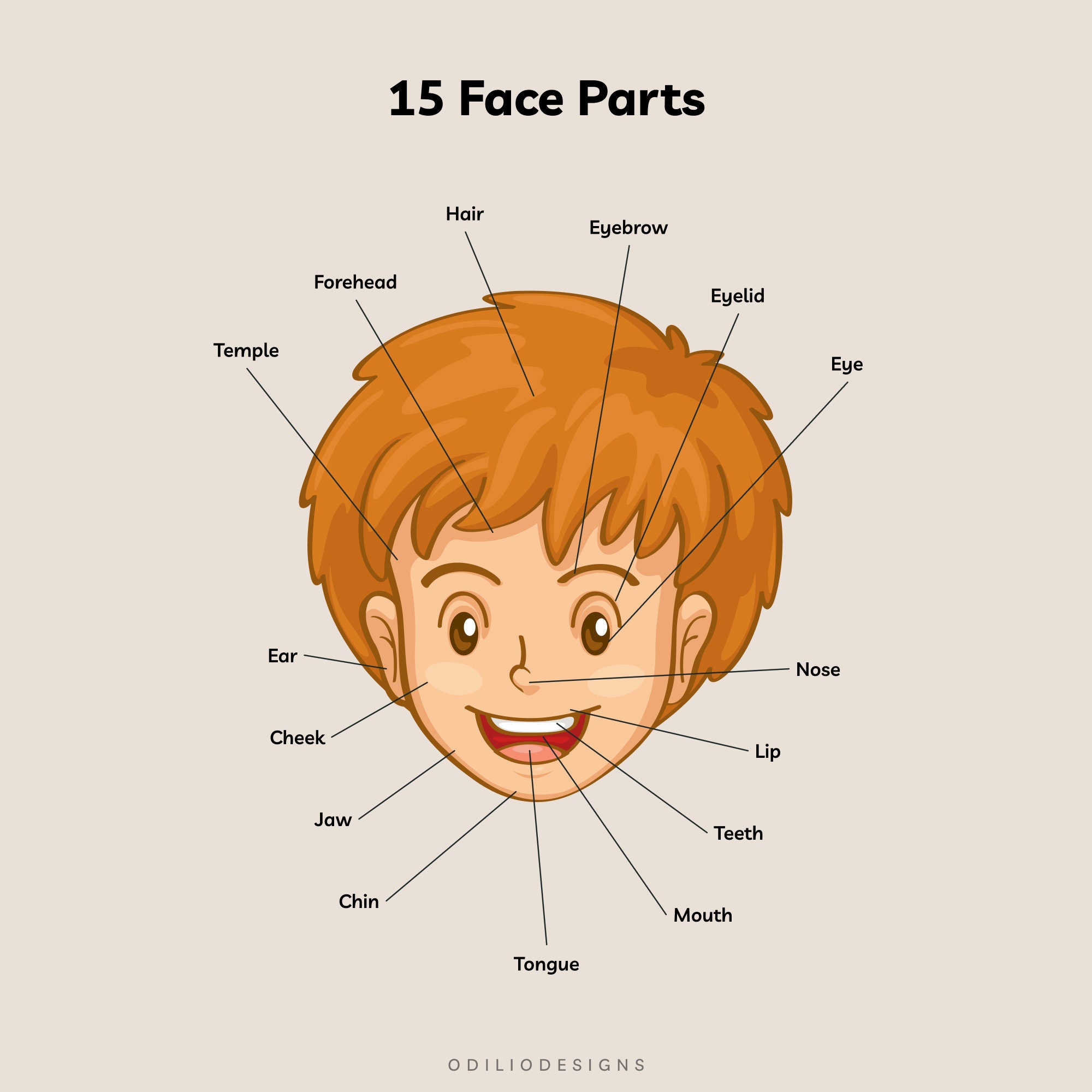 Face Parts Human Anatomy Printable Activity for Toddler Kindergarten ...