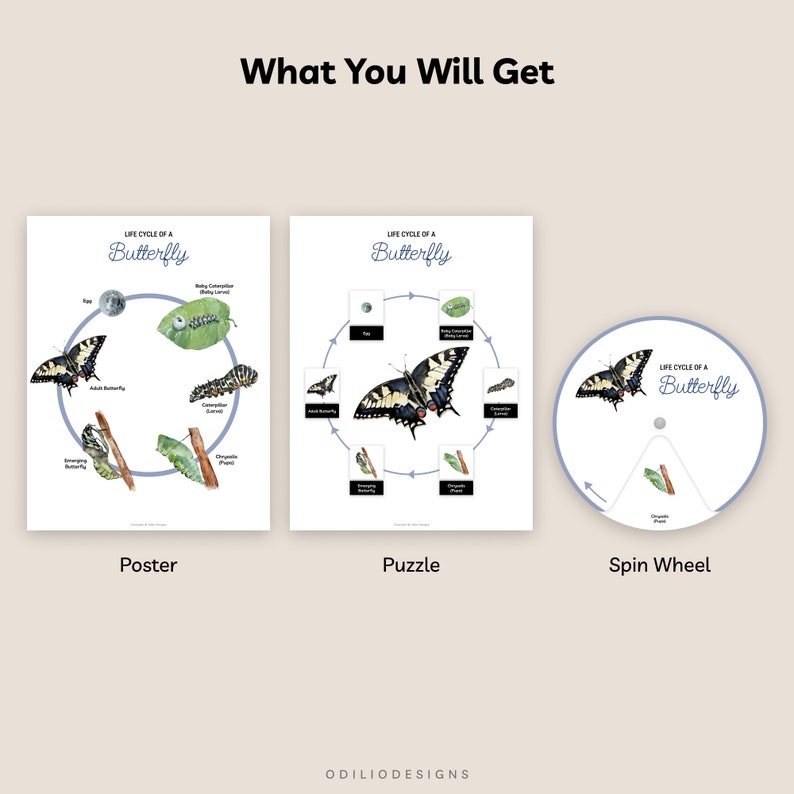 Butterfly Life Cycle Printable Poster & Puzzle Busy Book Worksheet for ...