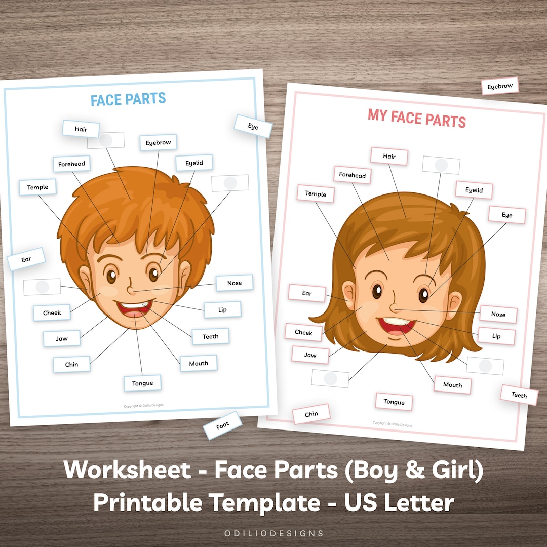 Face Parts Human Anatomy Printable Activity for Toddler Kindergarten ...